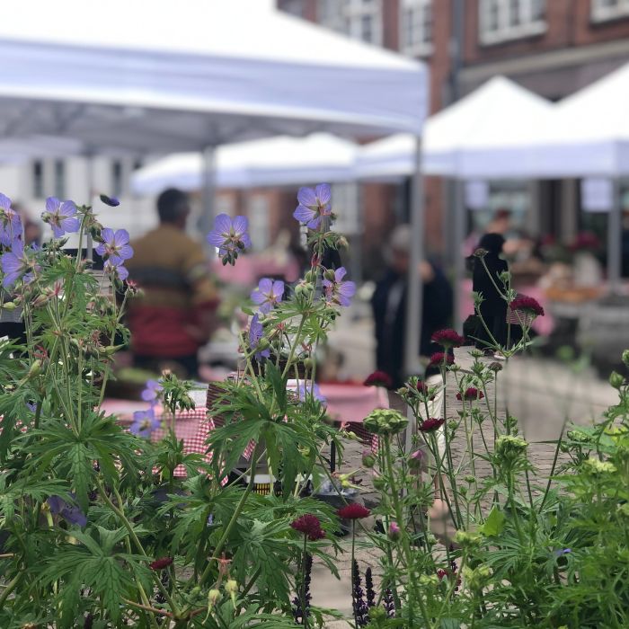 Om os - Vi er Viborg - Glæd dig